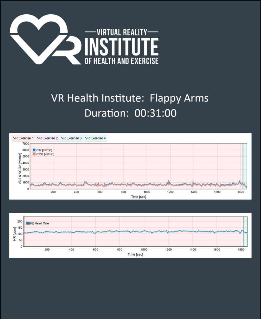 Flappy Arms – Virtual Reality Institute of Health and Exercise